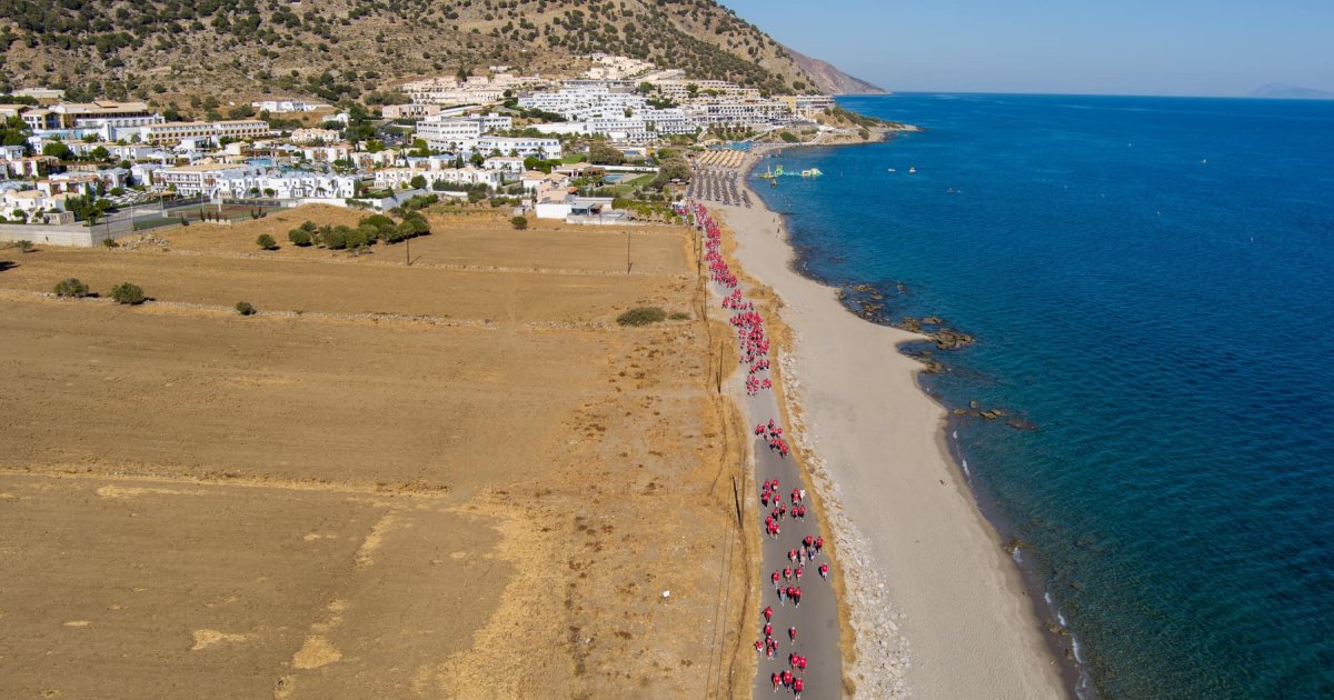 Νίκος Π. Ιερομνήμων: Η περίπτωση του Συλλόγου GOOD BYE TO COUNSER- ANΤΕ ...